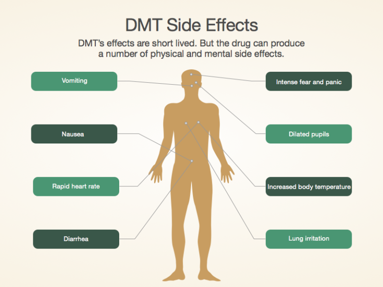 DMT Dimethyltryptamine | Drug Profile on Sober Nation